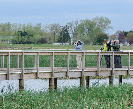 Howard Marsh Metropark - Destination Toledo