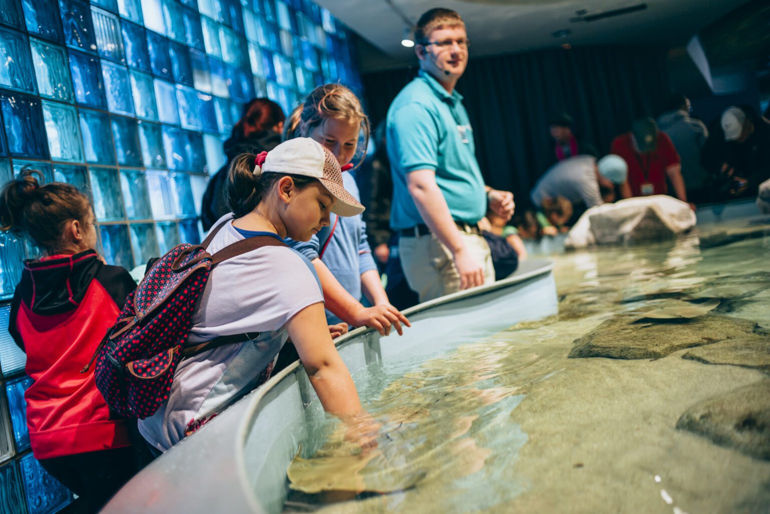 Take the Time to Experience Toledo! Must-See Spots for an Hour, a Day ...