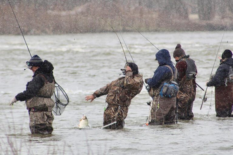 Walleye Fishing Toledo: Best Spots & Guide