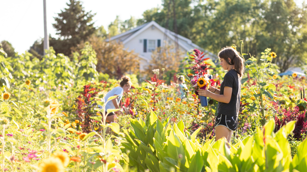 GardenView U-Pick Flower Garden - Destination Toledo