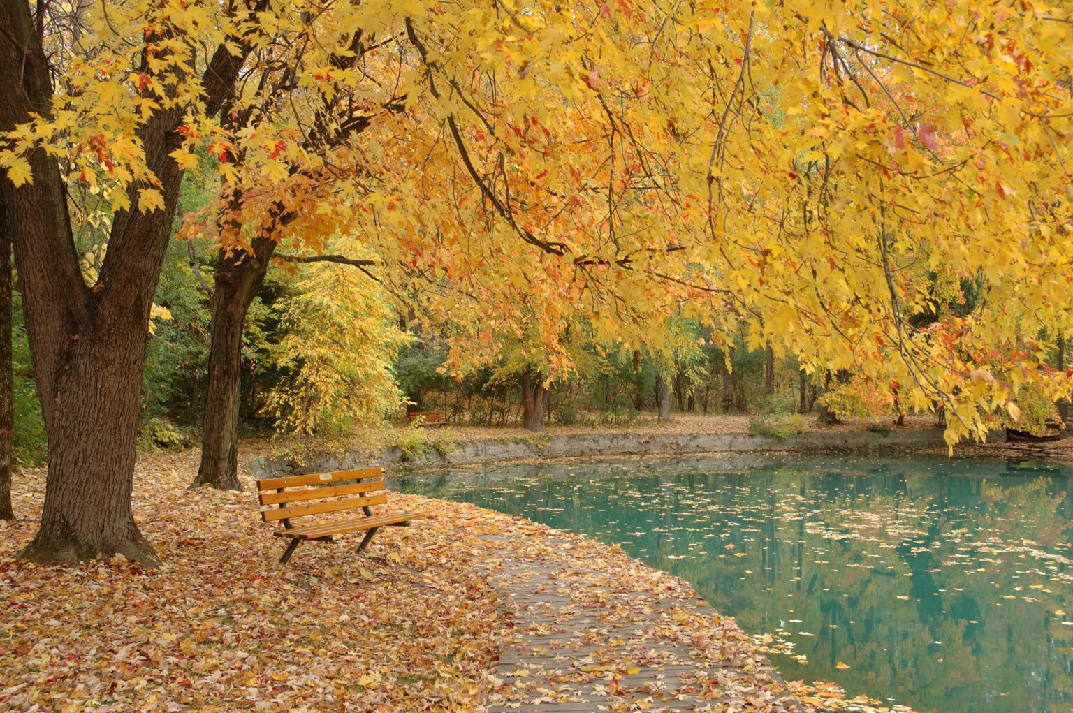 Top Fall Activities in Toledo