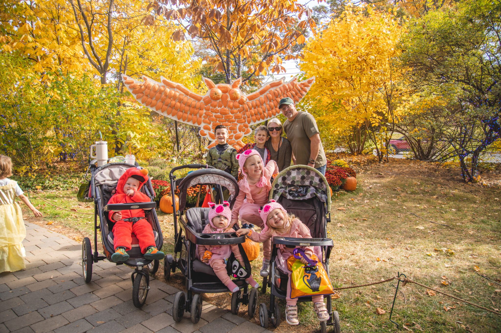 Fall in Love with Toledo: Your 2025 Autumn Events Guide - Destination ...